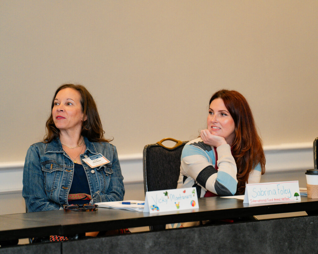 DMFA | Event Gallery - DMFA