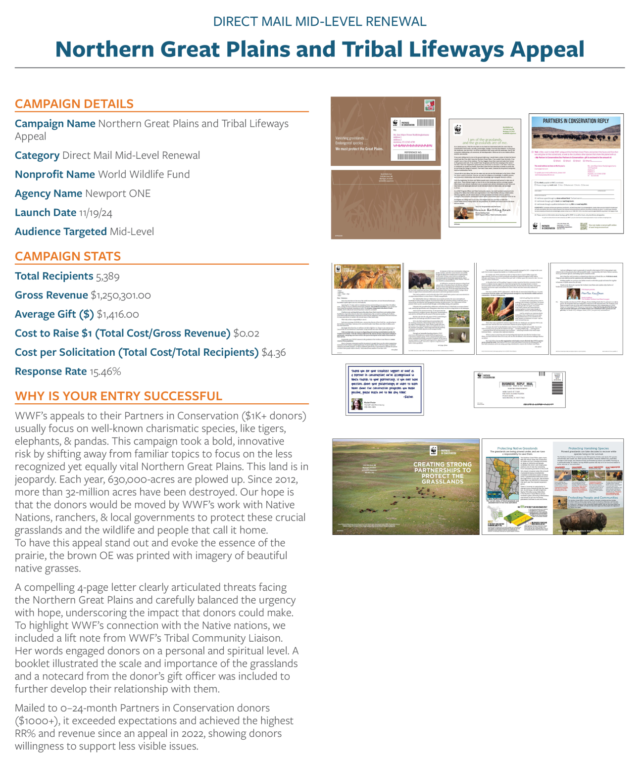 DMFA | 2025 DMFA Awards | DMFA Award Winners - DMFA